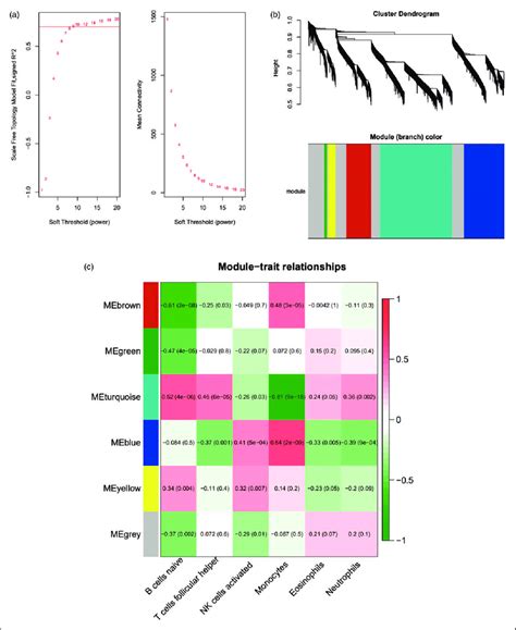 Gene Co Expression Network Construction And Hub Gene Identification