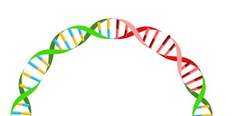 Plasmid Sequencing Assembly And Analysis Workflow