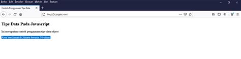 Mengenal Berbagai Jenis Tipe Data Javascript Beserta Fungsinya