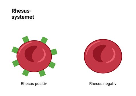 Blod Biotech Academy