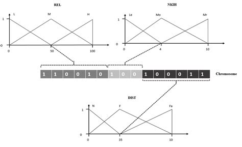 Genetic Representation Of Membership Functions Download Scientific Diagram