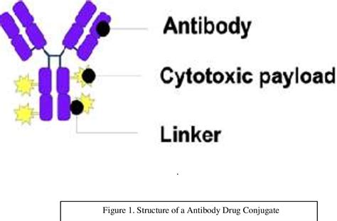 Figure 1 From Future Directions On Antibody Drug Conjugates In Her 2