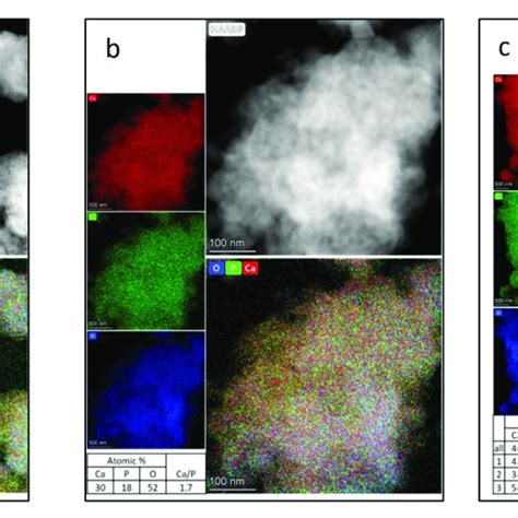 distribution maps of elements across a particle in samples with ca p