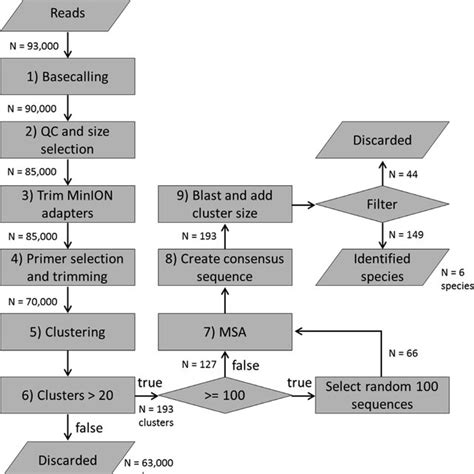 Schematic Representation Of The Bioinformatics Workflow For Identifying