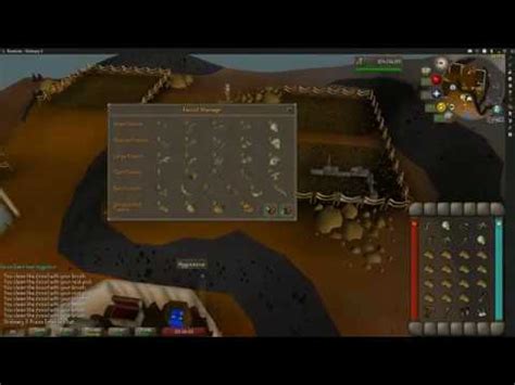 How To Clean Or Identify Fossils Osrs Fossil Island Unidentified
