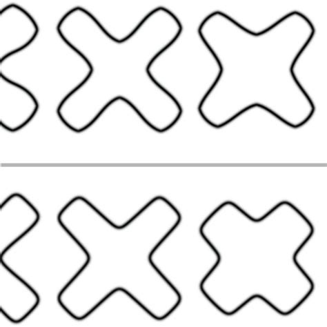 Evolution Obtained By The Anisotropic Variational Doubly Degenerate