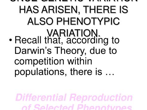 Ppt Microevolution Vs Macroevolution Powerpoint Presentation Free Download Id 4503629