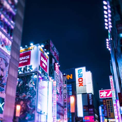 Exploring The World Of Manga Bara My Reading Journey