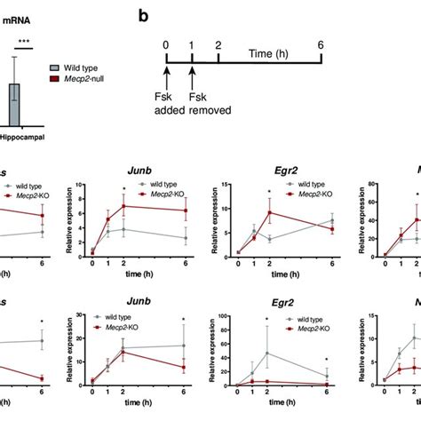 Iegs Gene Expression Response To Forskolin Is Dysregulated In 8 Weeks