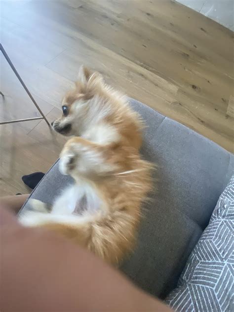 Top 10 Moments Before Disaster Caught On Camera Gone Wrong Rpomchi