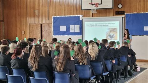 Have Loved Being Part Of This Project Seeing Light Bulb Moments And