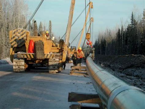 PPT Power Lines Cause Diseases Through Static Electricity PowerPoint Presentation ID 4465322