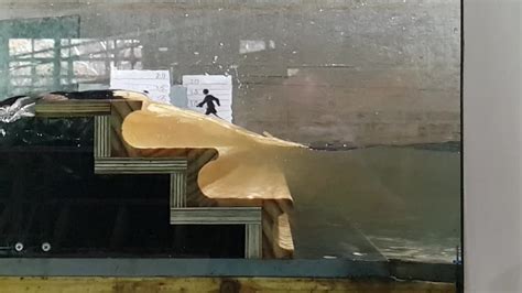 Video Dr Deepak Kumar Singh Posted On Linkedin