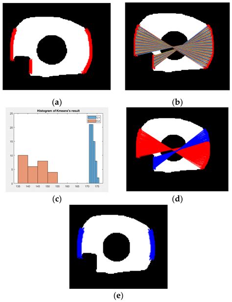 robust iris segmentation algorithm in non cooperative environments