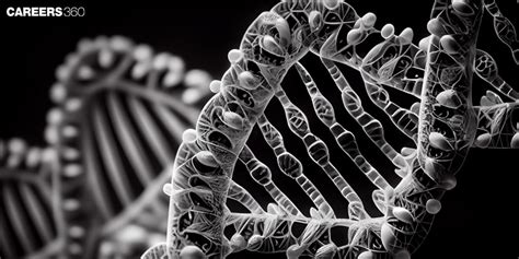 Modern Synthetic Theory Evolution An Overview