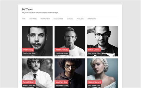 10 Best Wordpress Team Showcase Plugins