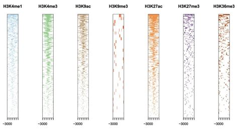 Chipseeker An R Bioconductor Package For Chip Peak Annotation Comparison And Visualization R