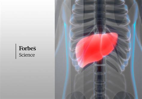 გასული კვირის მნიშვნელოვანი სიახლეები მეცნიერების სფეროდან • Forbes Georgia