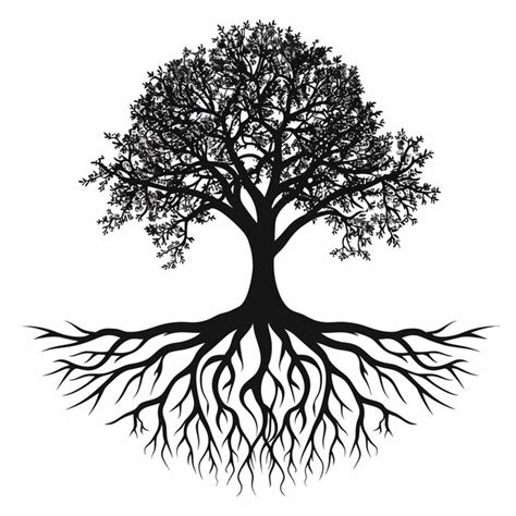 Premium Vector A Tree With A Root That Has The Roots Exposed