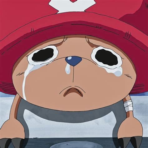 Chopper Crying One Piece