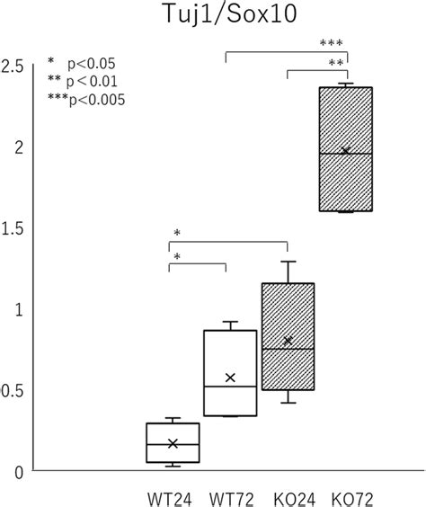 Threshold Area Of Tuj1 Expression Sox10 Expression Tuj1 Sox10 In
