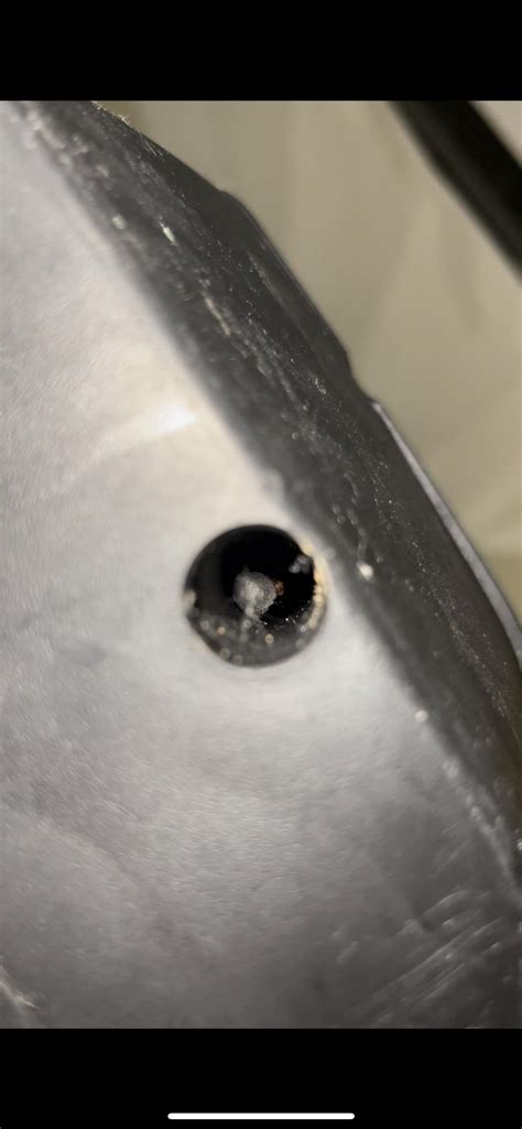 Please Id This Spider 🥹 Tx Usa Rspiders