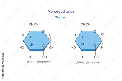 molecular structure of monosaccharide glucose monosaccharides simple