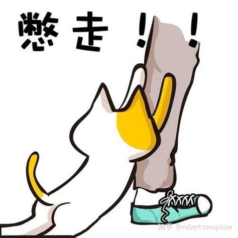 table数据结构及应用 matlab 基础篇 知乎