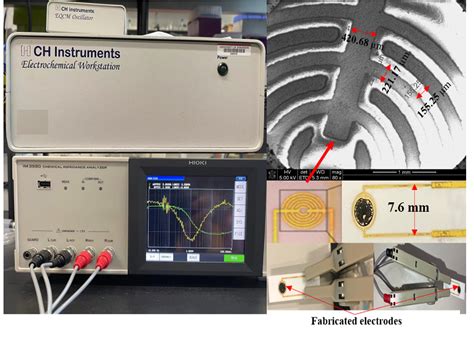 Figure 1 From A Novel Activated Biochar Based Immunosensor For Rapid Detection Of E Coli O157