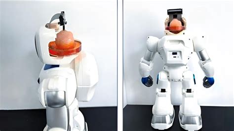 Chinese Scientists Developed Artificial Brain Controlled Robot