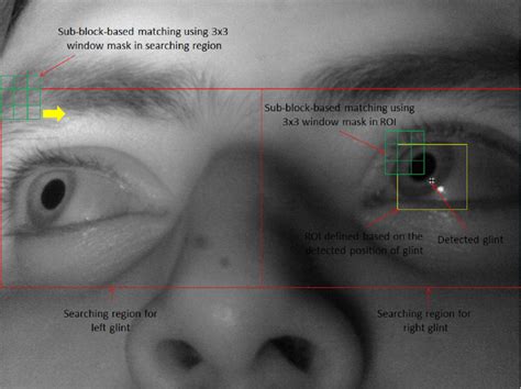 example of detecting glint and approximate pupil region box on left