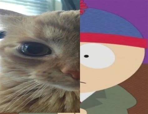 900 South Park Ideas In 2025 South Park Park South Park Characters