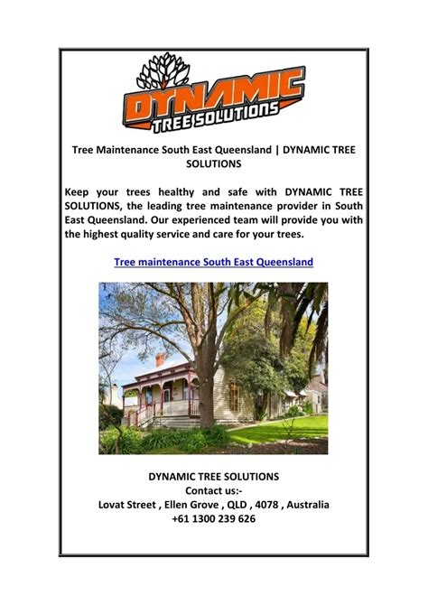 Ppt Tree Maintenance South East Queensland Dynamic Tree Solutions Powerpoint Presentation