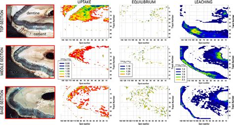 Detailed High Resolution Isotopic Mapping Of 230 Th 234 U Values