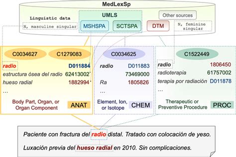 Example Of Umls Augmented Lexicon To Manage Terminological Variation Download Scientific