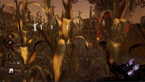 Scourge Hook Logic Needs A Mayor Fix — Bhvr