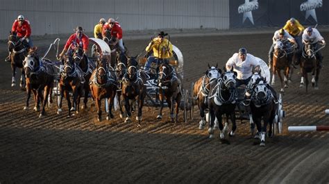 Federal Agriculture Minister To Visit Calgary Stampede Cochranenow Cochrane Albertas Latest