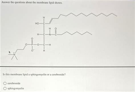 Solved Answer The Questions About The Membrane Lipid