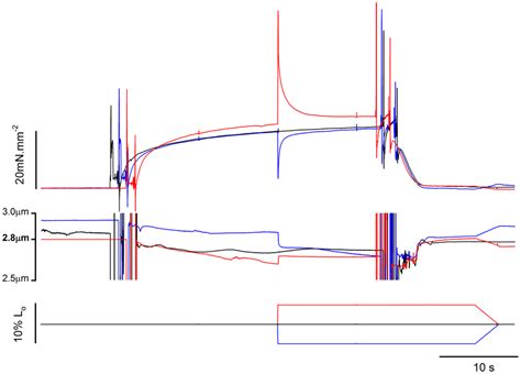Typical Experiment For Analysis Of Residual Force Enhancement And Force