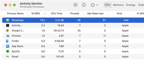 High Cpu Usage And Wake Up Count In Macos Monterey Rwhatsapp