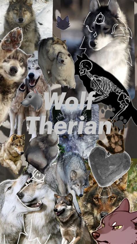 Wolf Therian Wallpaper🐾🐺 Wallpaper What Next Next