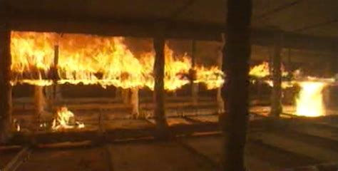 Wired On Linkedin Catcabling Structuredcabling Lowvoltagenation Lowvoltage Datacabling…