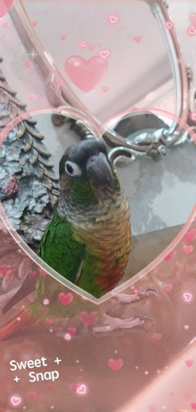 عکس حیون خونگیتون بزارید تستچی