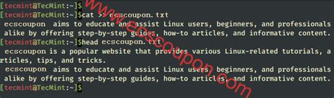 整理几种Linux系统创建文件命令较适用于新手用户 趣云笔记
