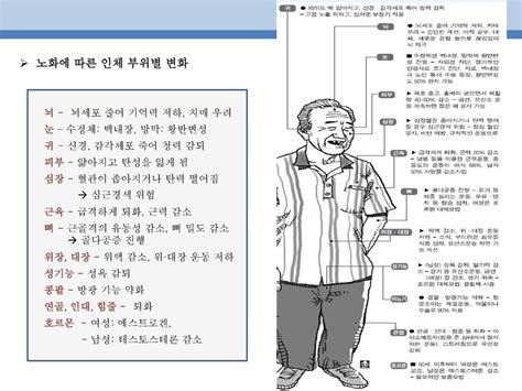 노 화 노화란 무엇인가 노화 현상의 특성 노인의 특성 노화 현상이 나타나는 이유 Ppt Download