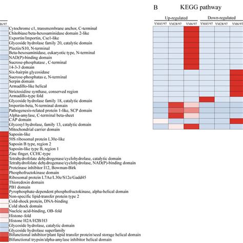Functional Enrichment Based Clustering Of Deps A Protein Domain And Download Scientific