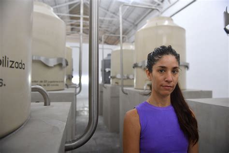 Agustina Woodgate La Primacía Del Dispositivo Infobae