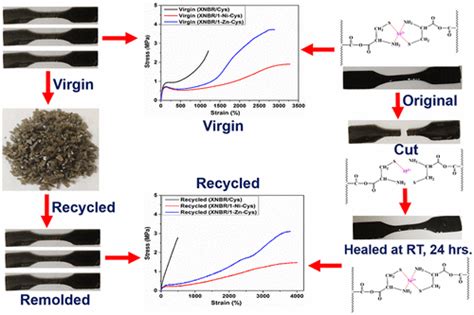 Biologically Derived Metalcysteine Coordination Complexes Crosslink