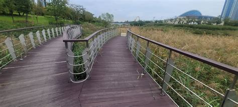 노랗게 물든 숲속에 두 갈래 길이 있었습니다 몸이 하나니 두 길을 다 가볼 수는 없어 나는 서운한 마음으로 한참을 서서 덤불 속으로 난 한쪽 길을 끝도 없이 바라보았습니다