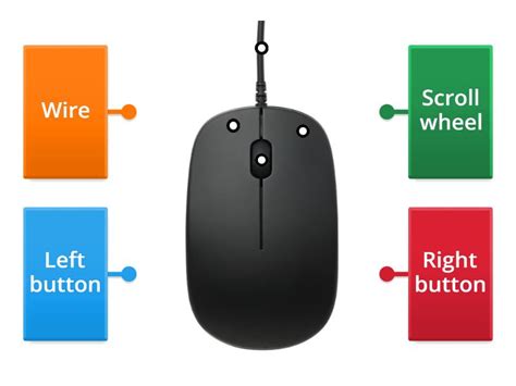 Parts Of The Computer Mouse Labelled Diagram